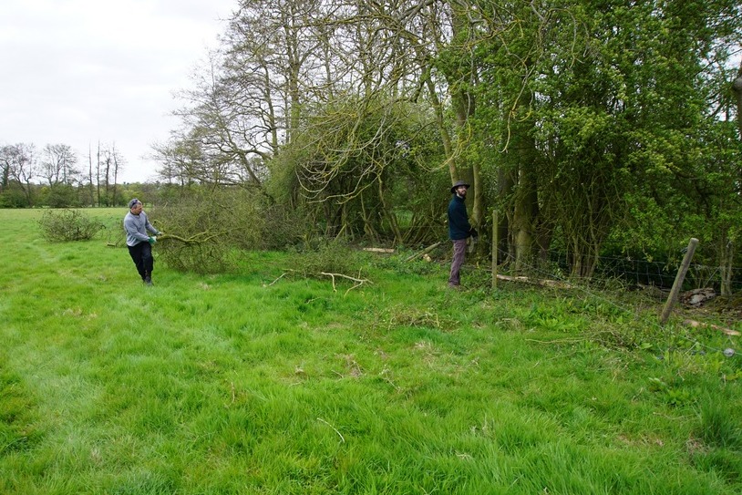 Photos | 23rd April 2017 - Dedham Hall Farm | Suffolk National Trust ...